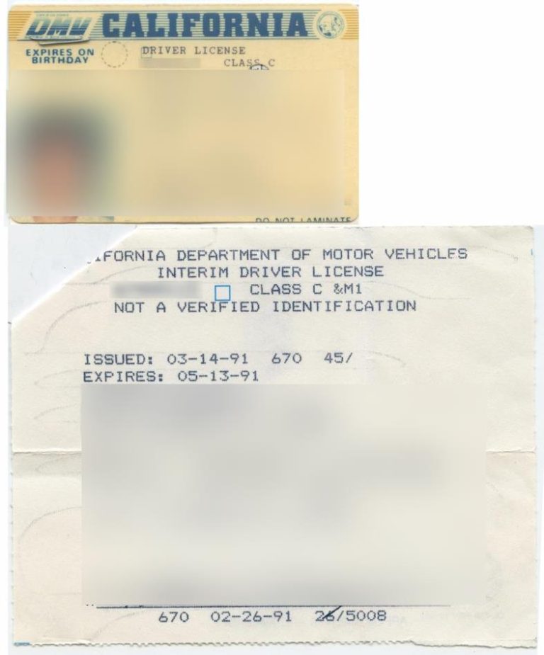 3. アメリカのM1免許 – Plumtown